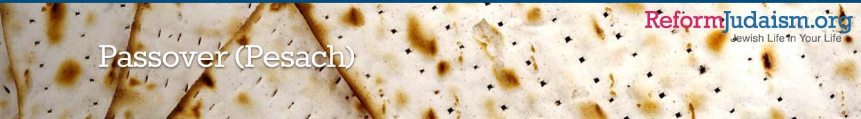 Passover Resource Kit - Congregation Or Chadash